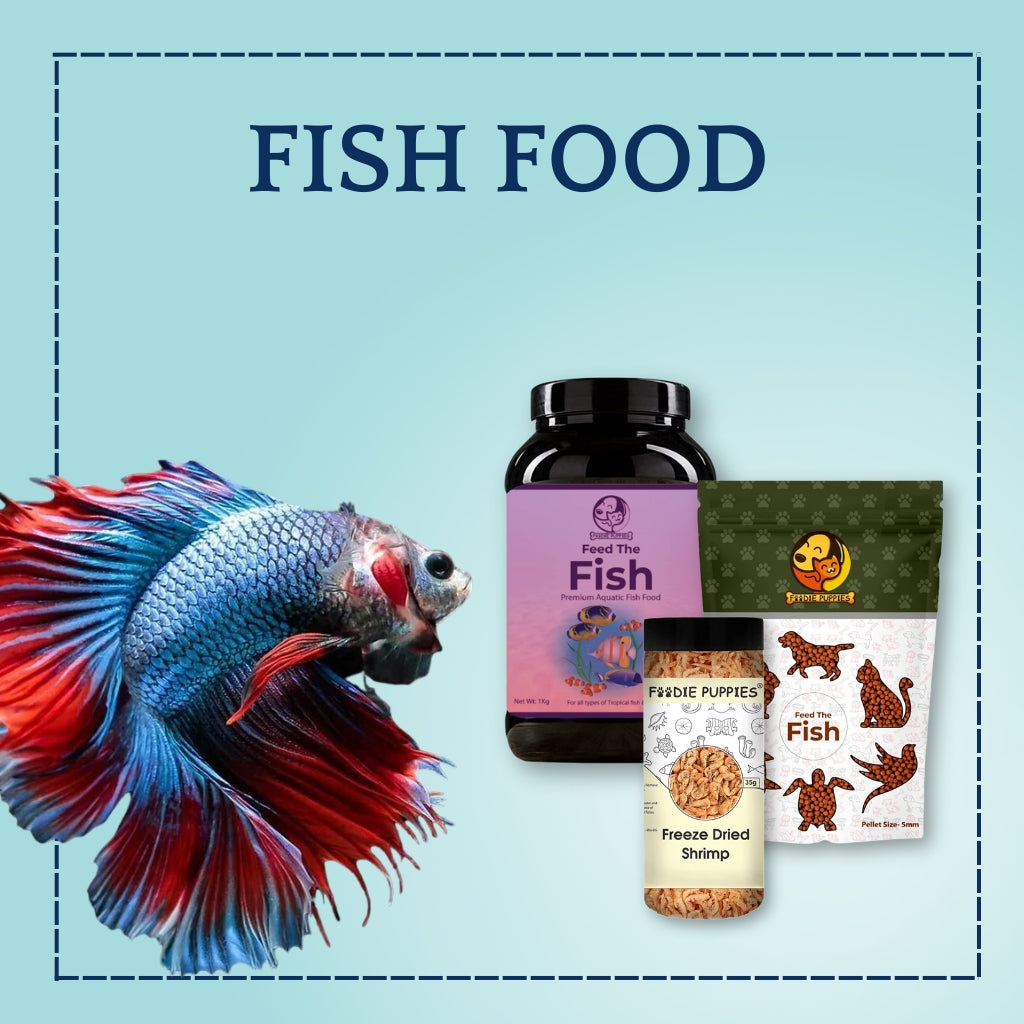 Fish Food – Foodie Puppies