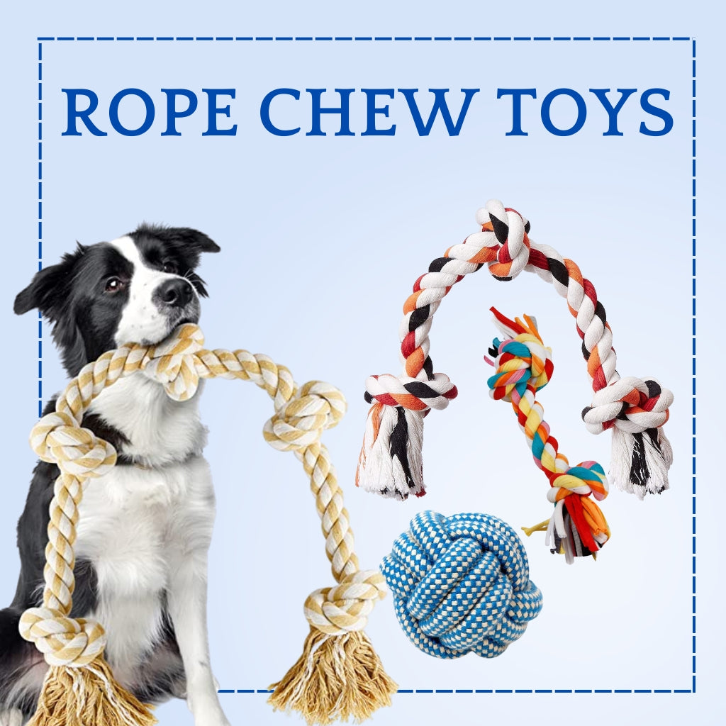 Dog Rope Toys – Foodie Puppies